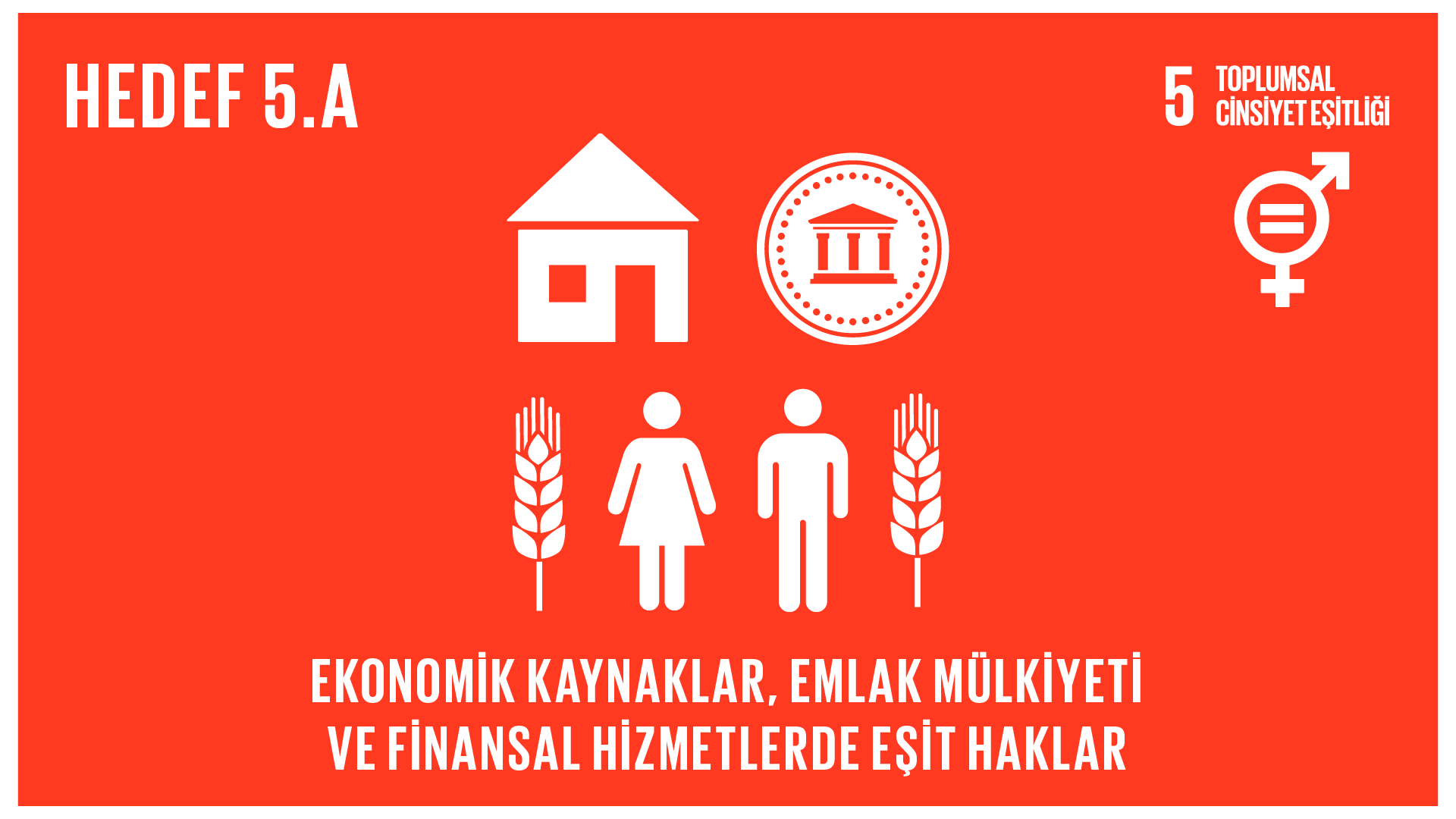 Toplumsal cinsiyet eşitliği | Kuresel Hedefler Toplumsal cinsiyet eşitliği | Kuresel Hedefler